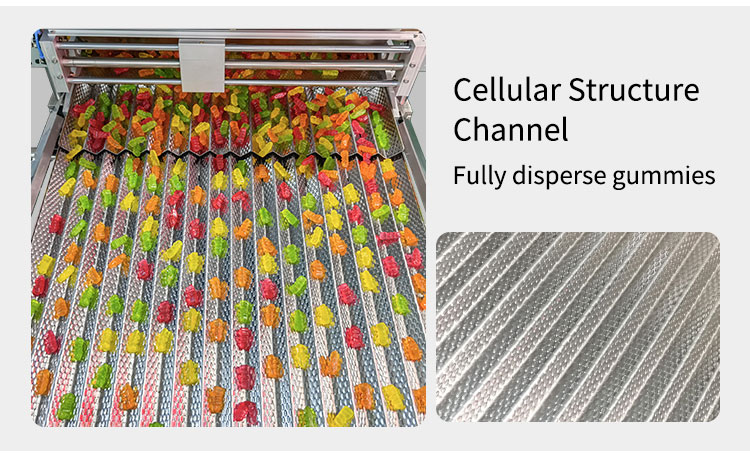 DSL 16 Lane Gummy Candy Counter Counting Machine Manufacturer ...